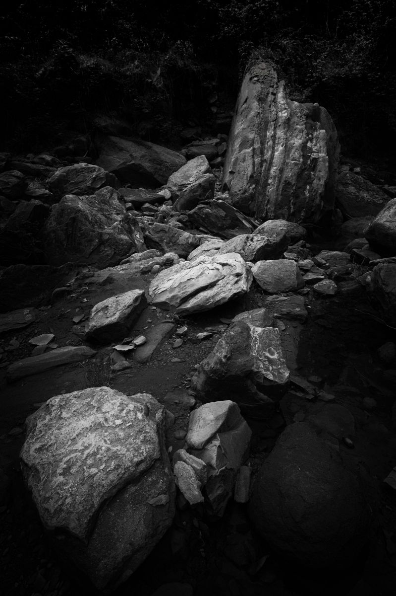 rock & rock | GANREF