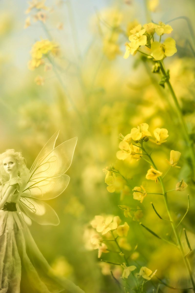 I am a spring fairy | GANREF