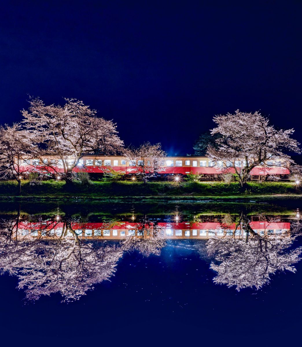 宵の花見.jpeg | GANREF