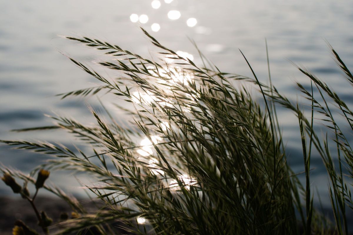 まぶしい瞬間 | GANREF