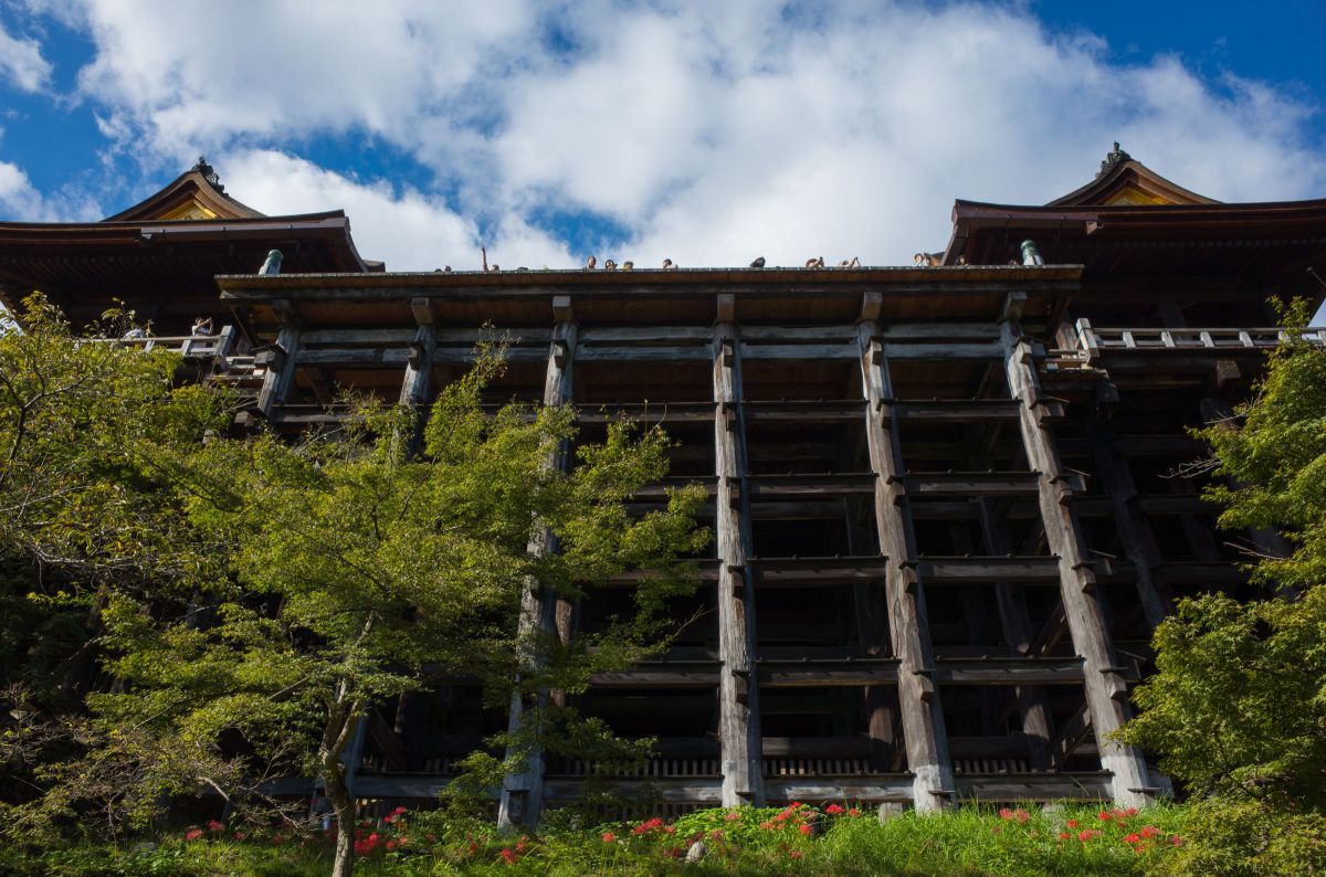 いまだ現役 | GANREF