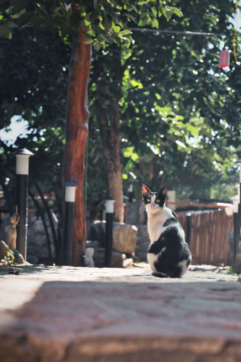 First Encounter | GANREF