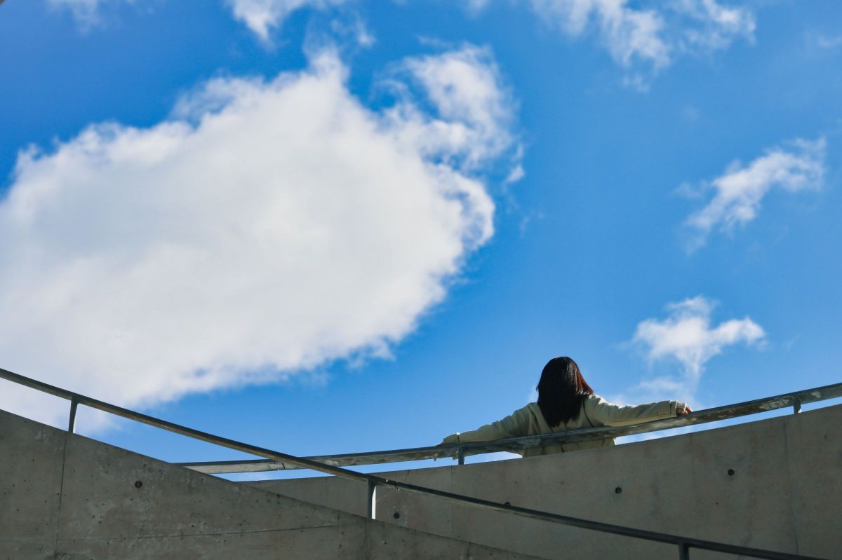 Sky Embrace | GANREF