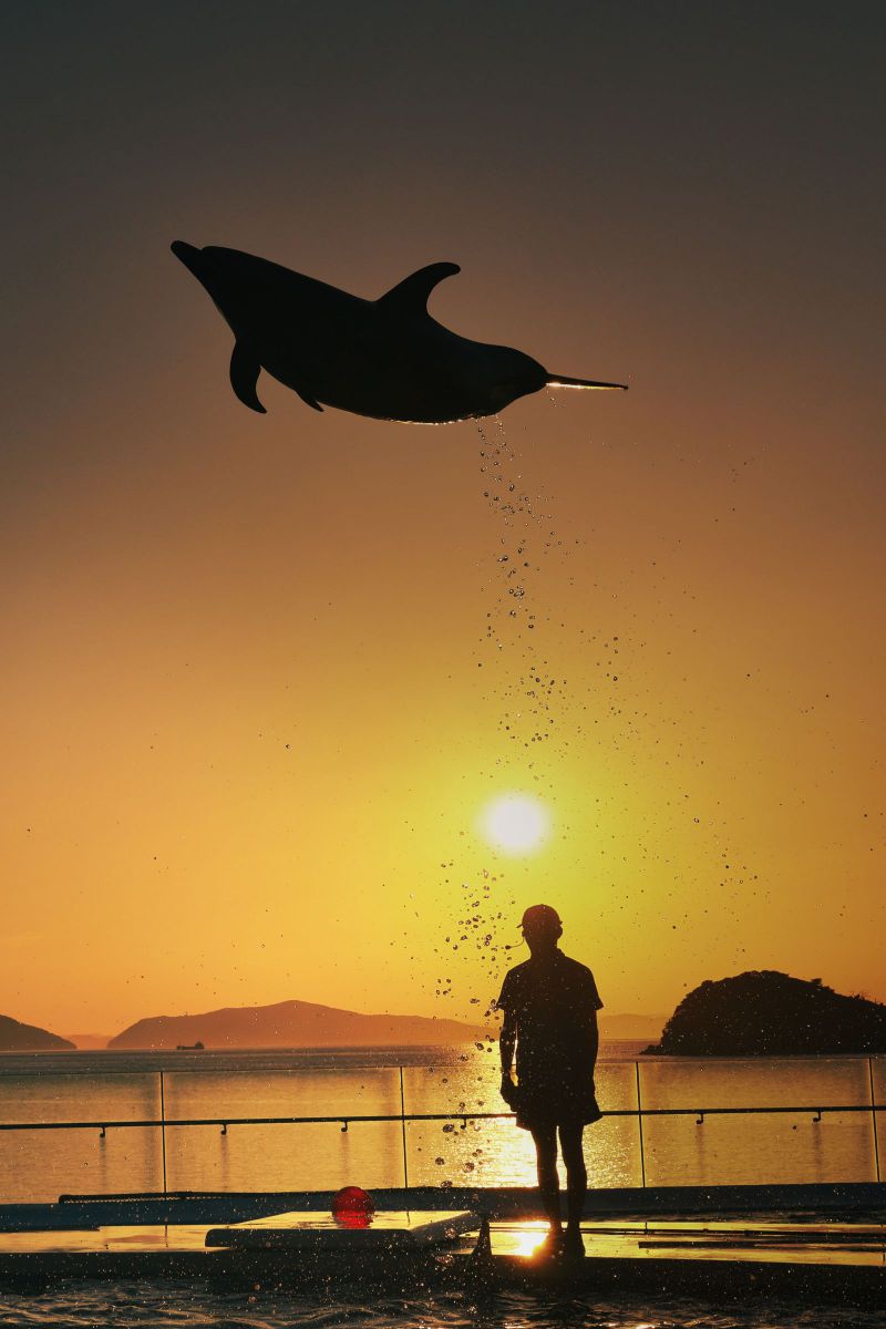 Jumping in the sunset | GANREF