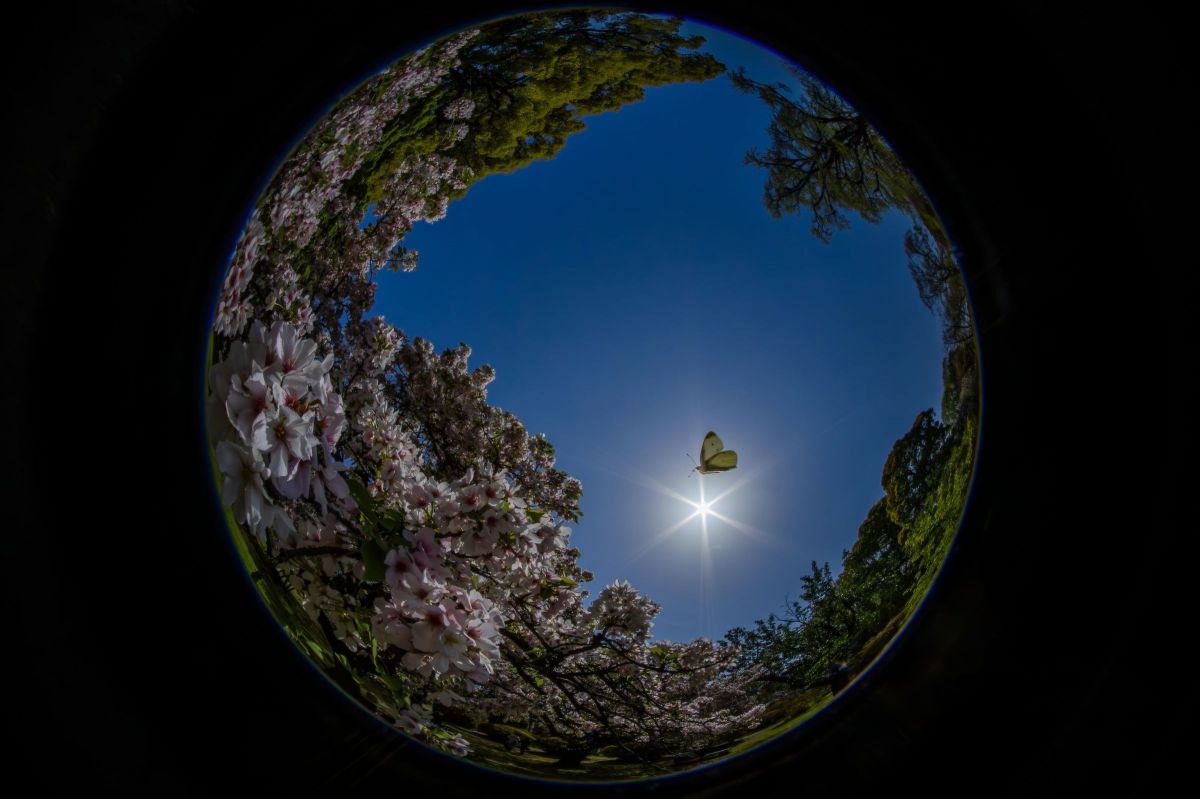 ROMANTIC SKY！ | GANREF