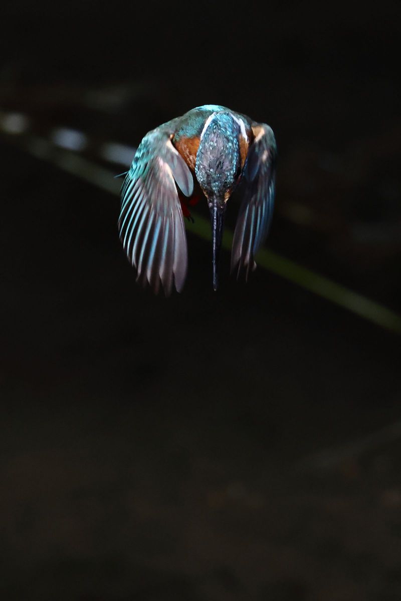 験画像187 | GANREF