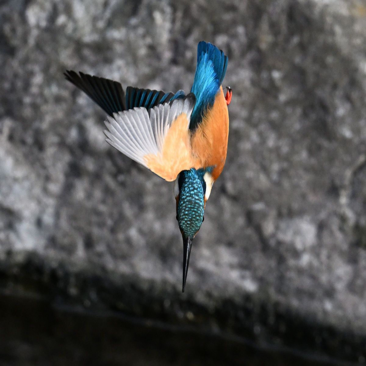 実験画像 ε-δ 論法40 | GANREF