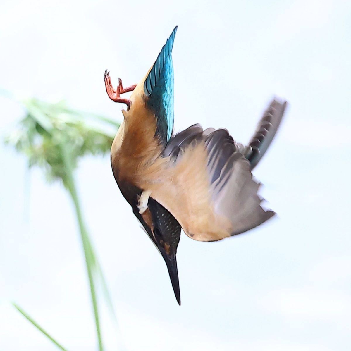 実験画像 ε-δ 論法142 | GANREF