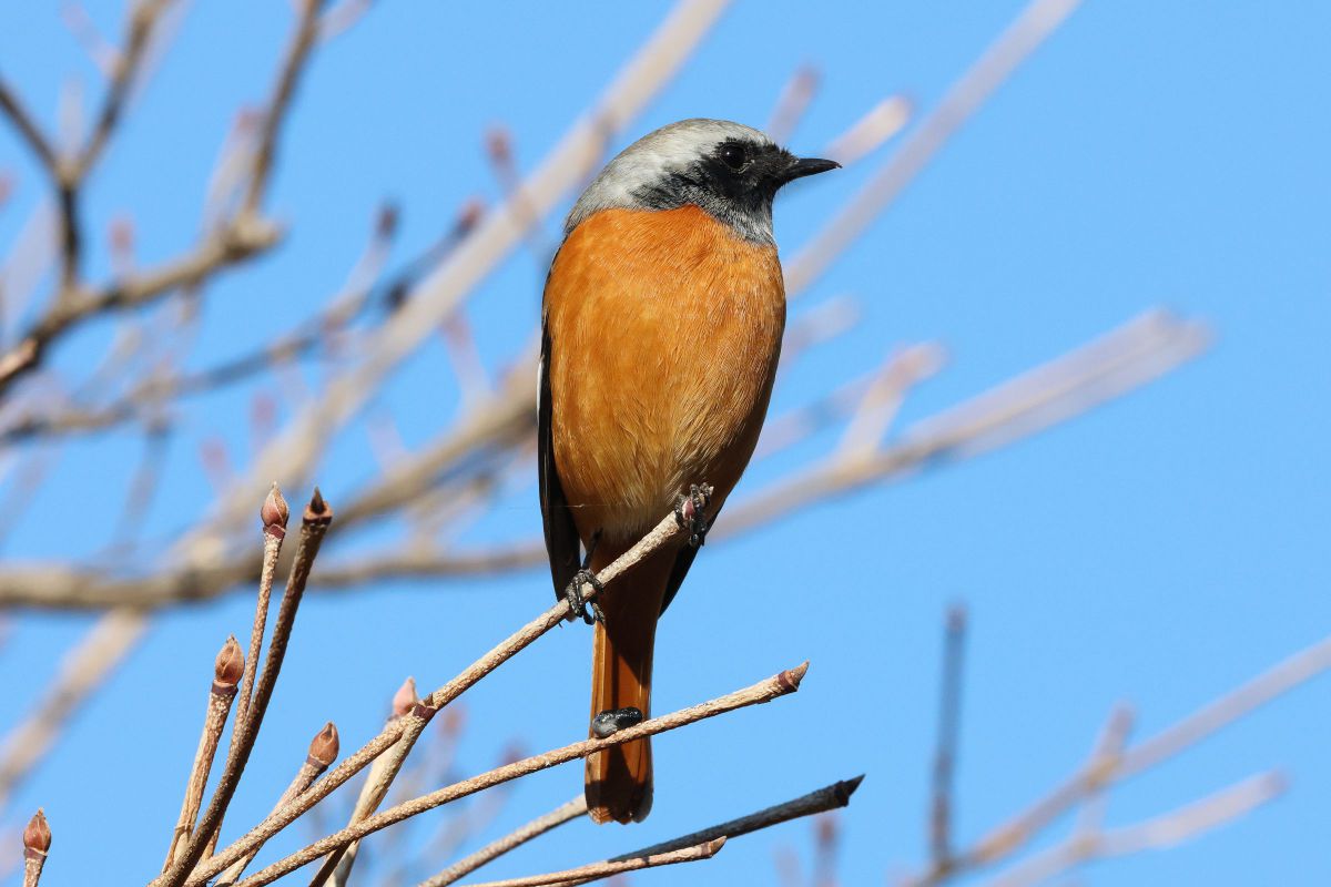 記憶にて | GANREF