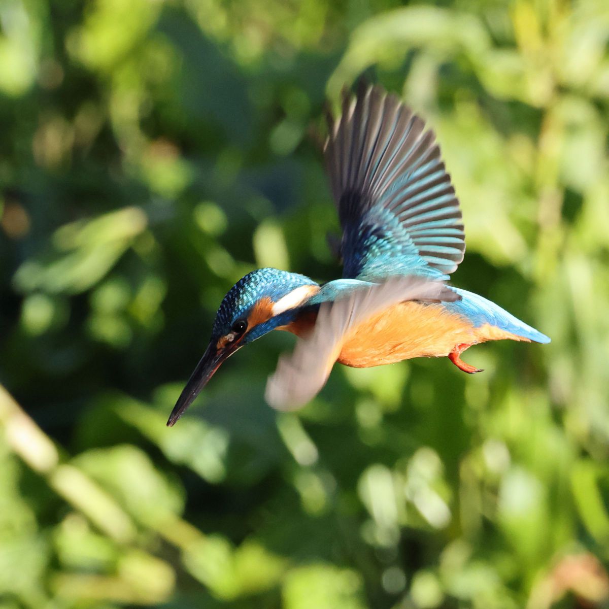 実験画像161 | GANREF