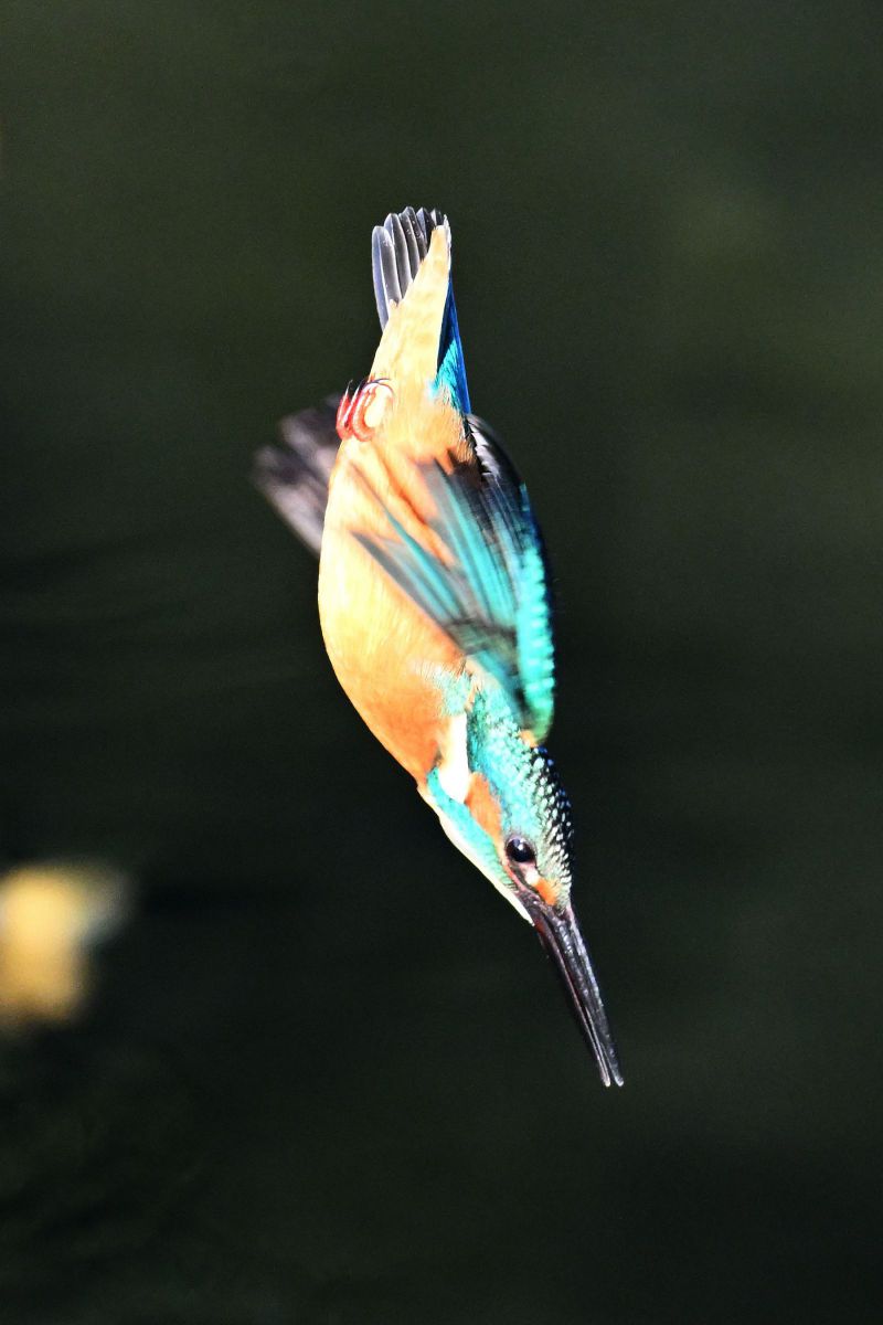 実験画像 ε-δ 論法52 | GANREF