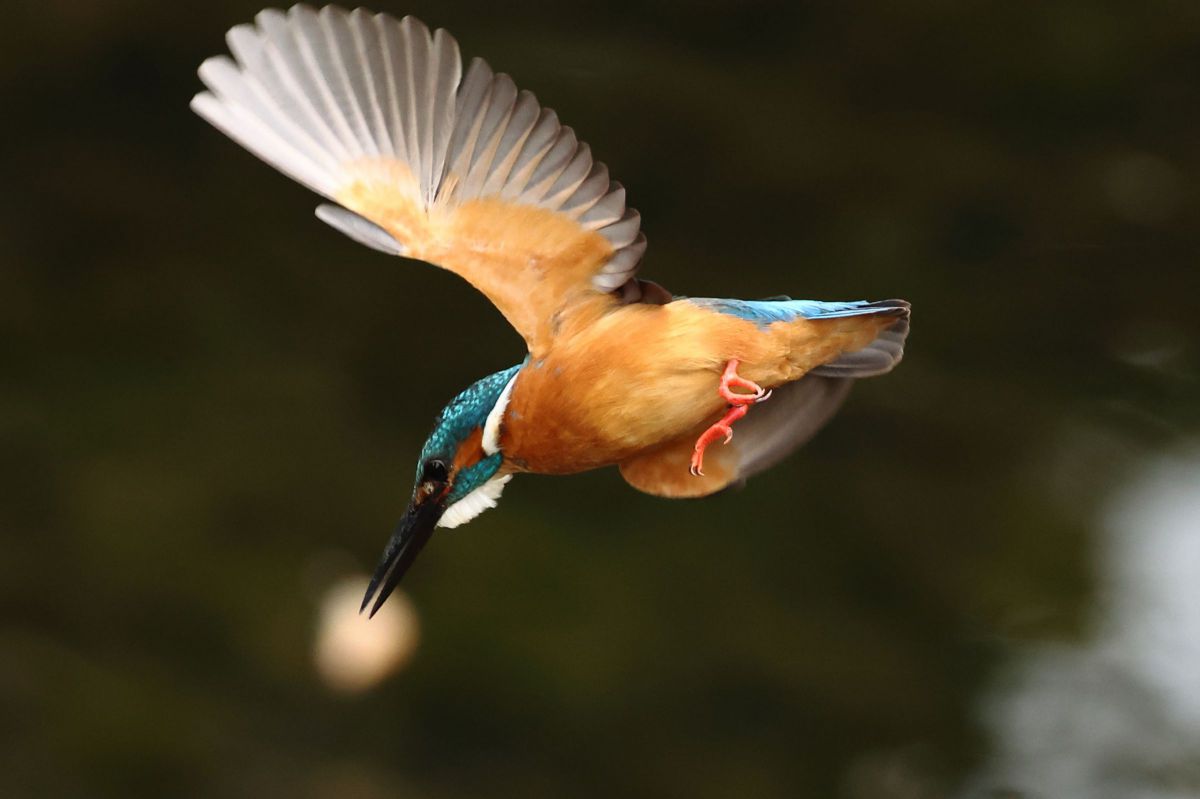 実験画像 ε-δ 論法127 は〜〜〜い！ | GANREF