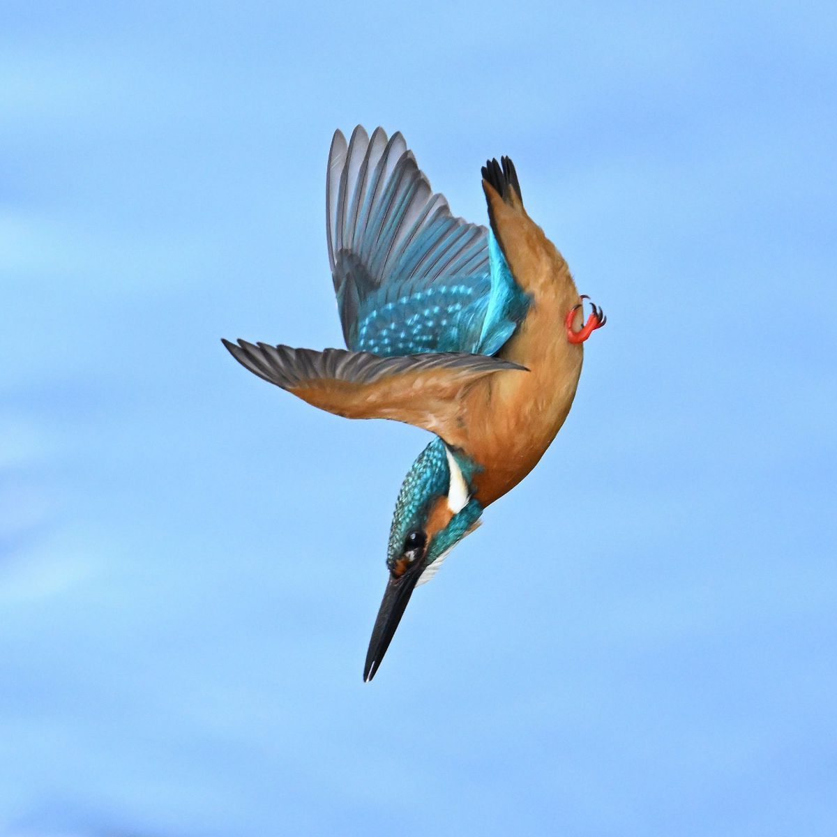 実験画像 ε-δ 論法45 | GANREF