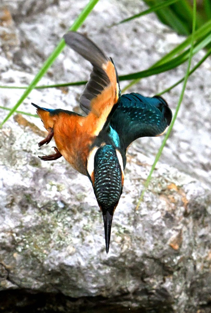 実験画像 ε-δ 論法120 | GANREF