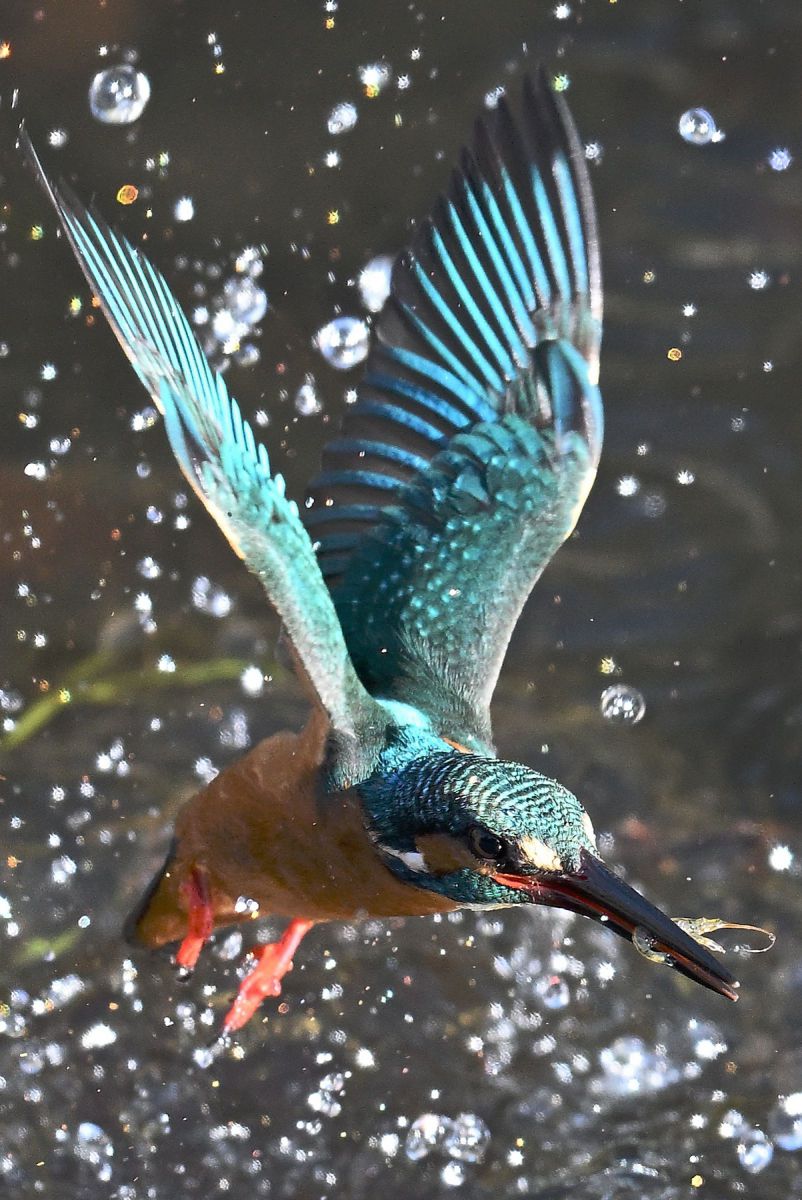 実験画像 ε-δ 論法27 | GANREF