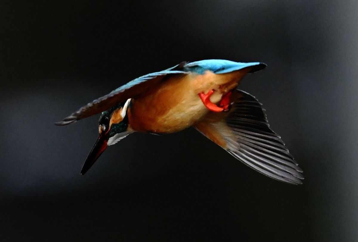 実験画像 ε-δ 論法69 | GANREF