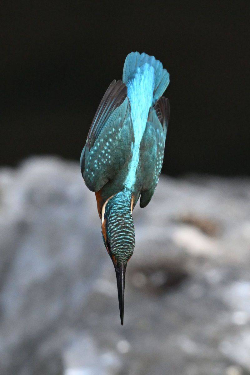 実験画像 ε-δ 論法20 | GANREF