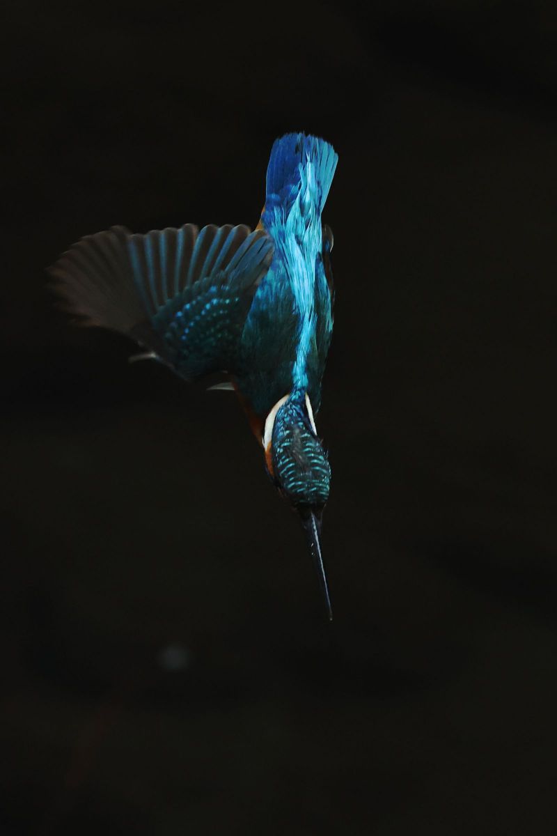 験画像191 | GANREF