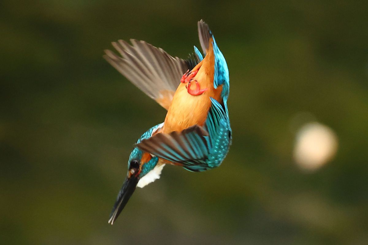 実験画像 ε-δ 論法126 270° | GANREF