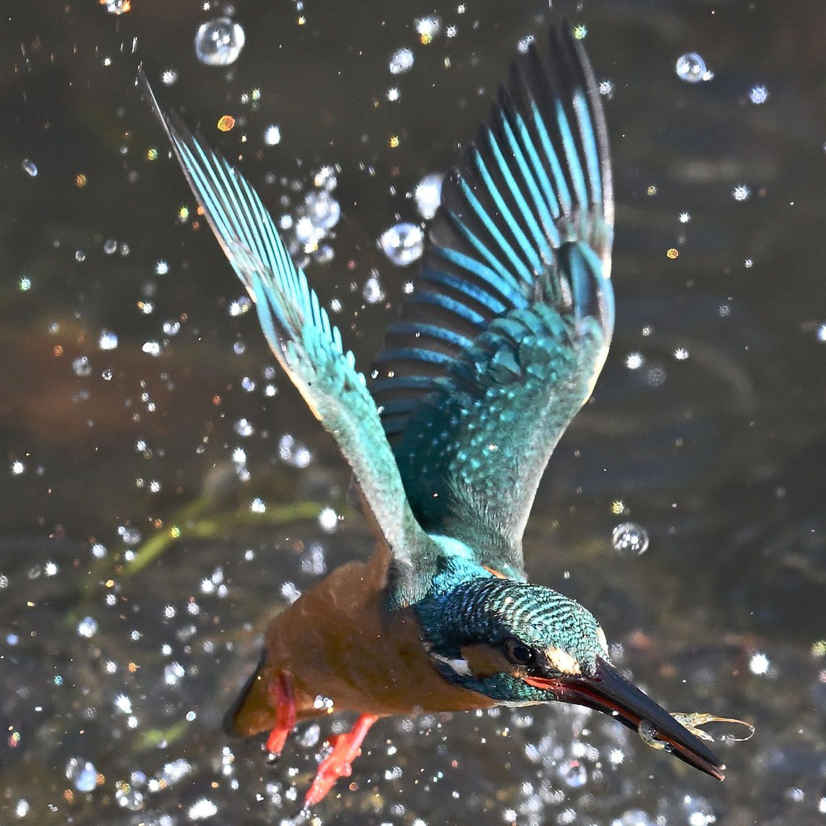 実験画像 ε-δ 論法46 | GANREF