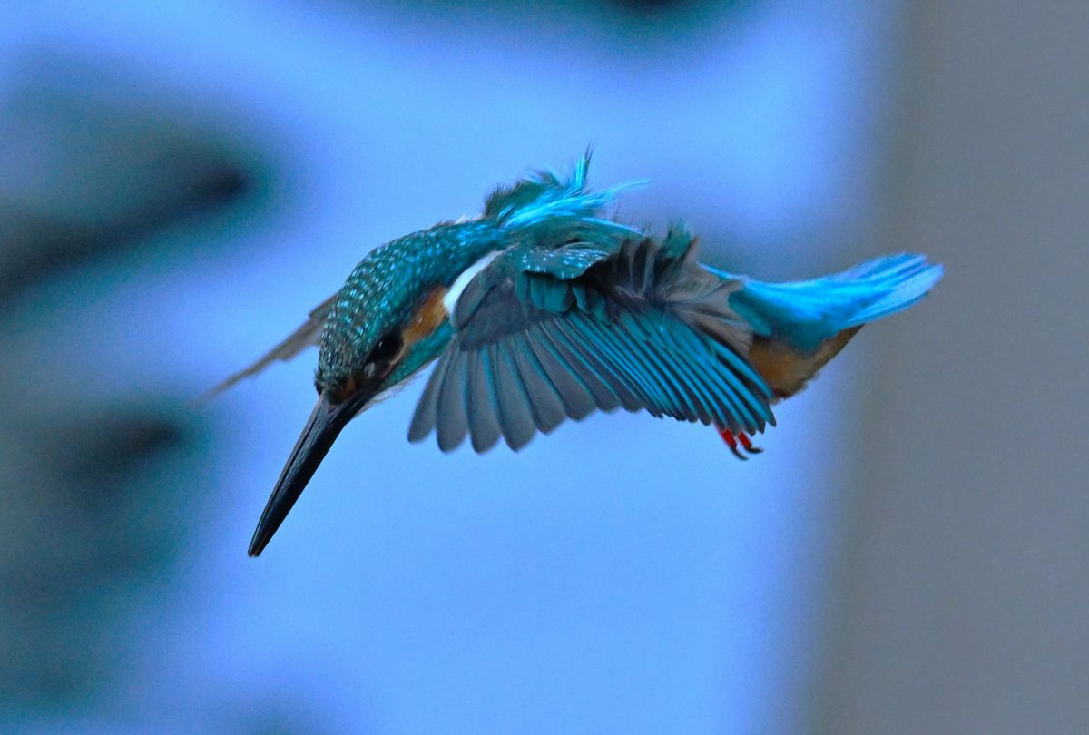 実験画像 ε-δ 論法96 | GANREF