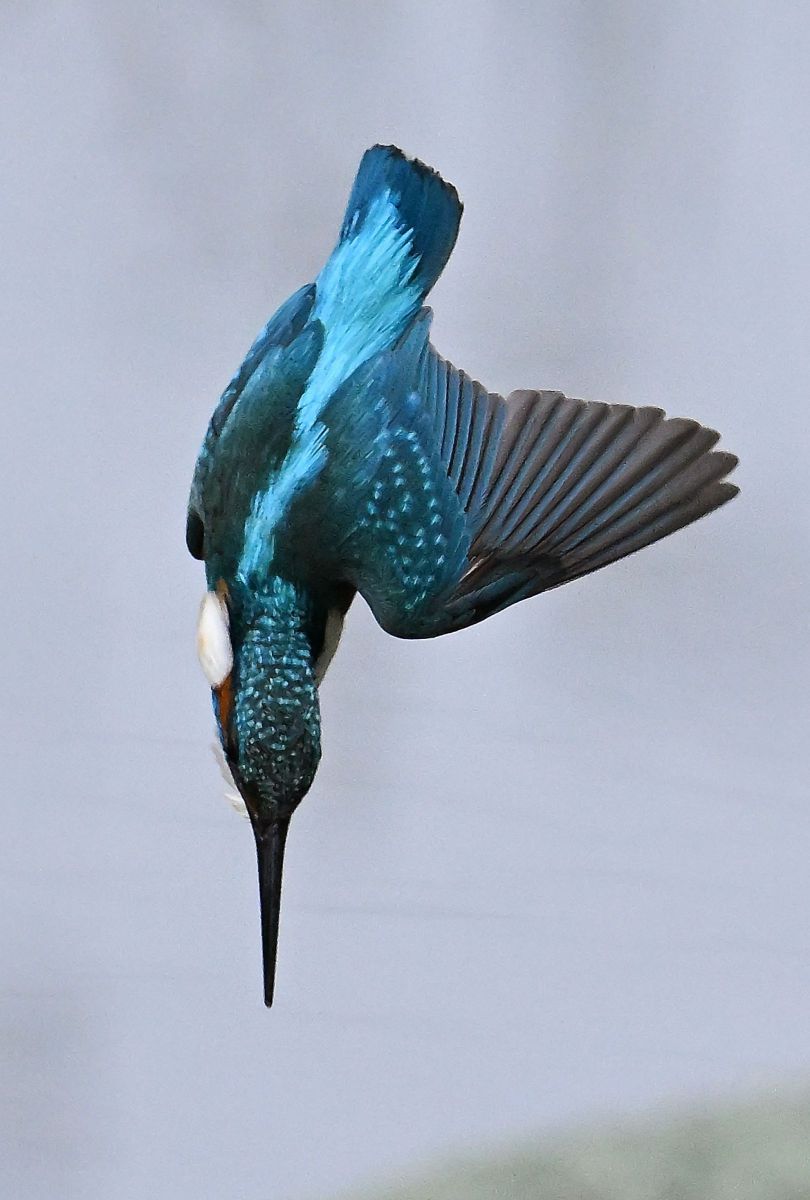 実験画像 ε-δ 論法114 | GANREF