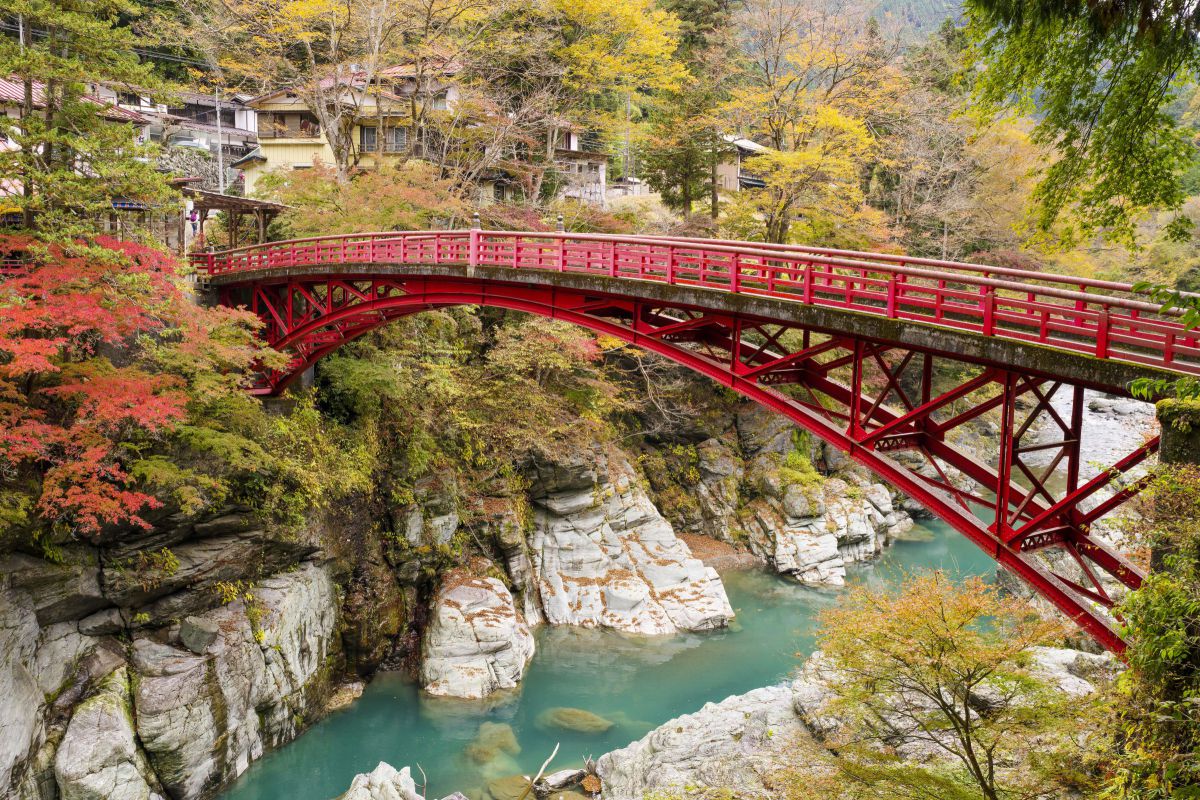 紅葉と赤い橋 | GANREF
