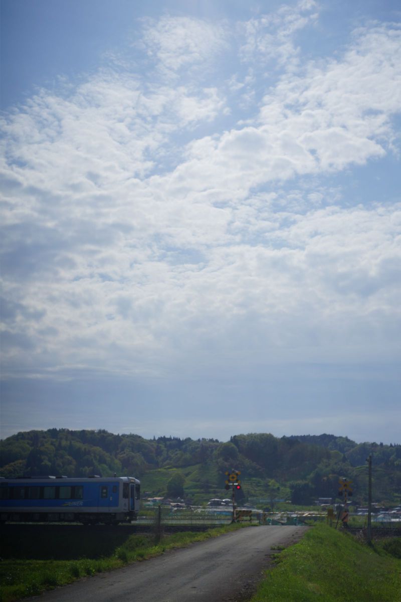 水入れを待つ | GANREF