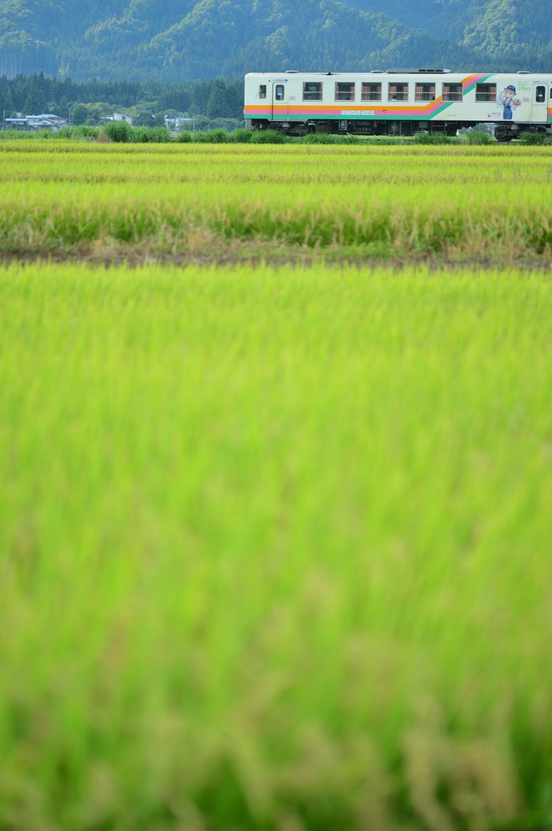 もうちょっと | GANREF