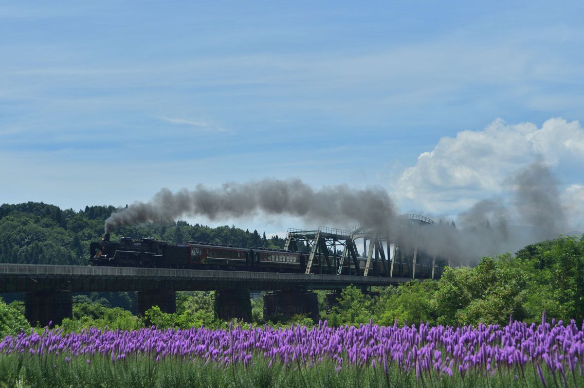 磐越西線のリアトリス | GANREF