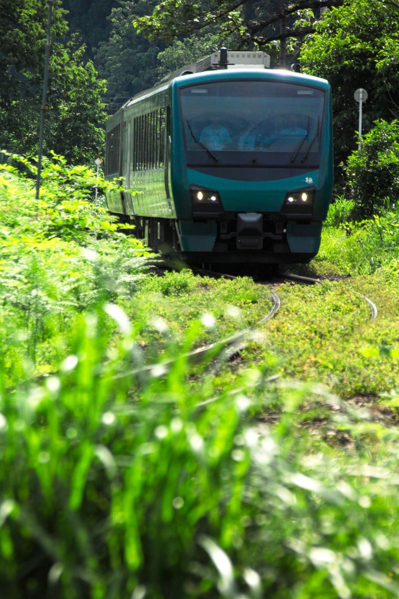 リゾートしらかみ橅編成が只見線を走る | GANREF