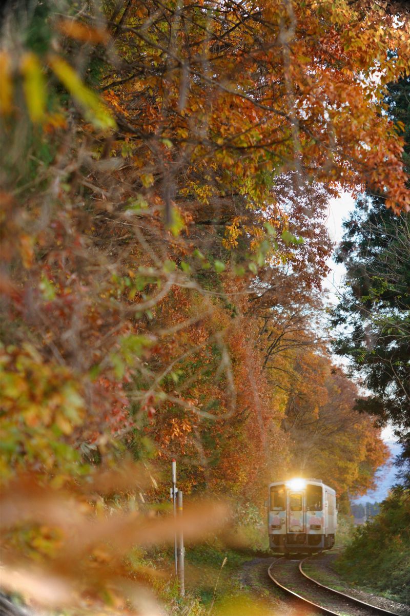 列車がやってくると翳る件 | GANREF