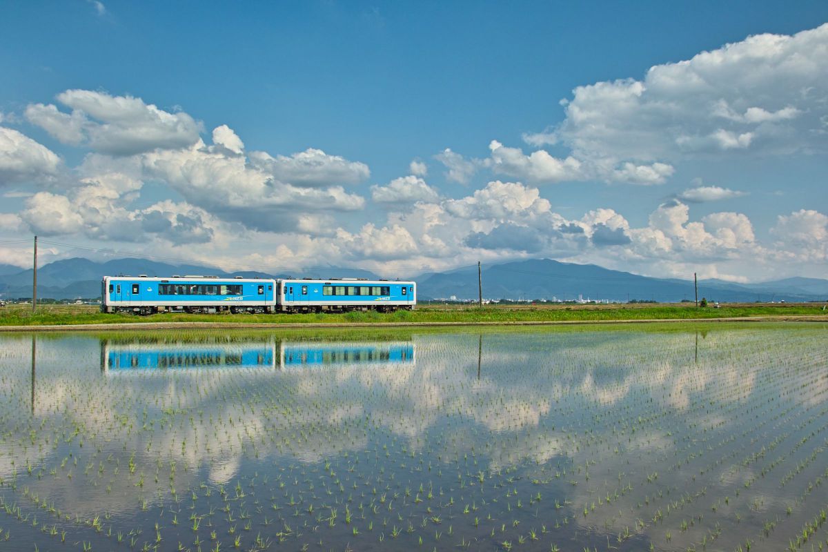 THE REFLECTION | GANREF