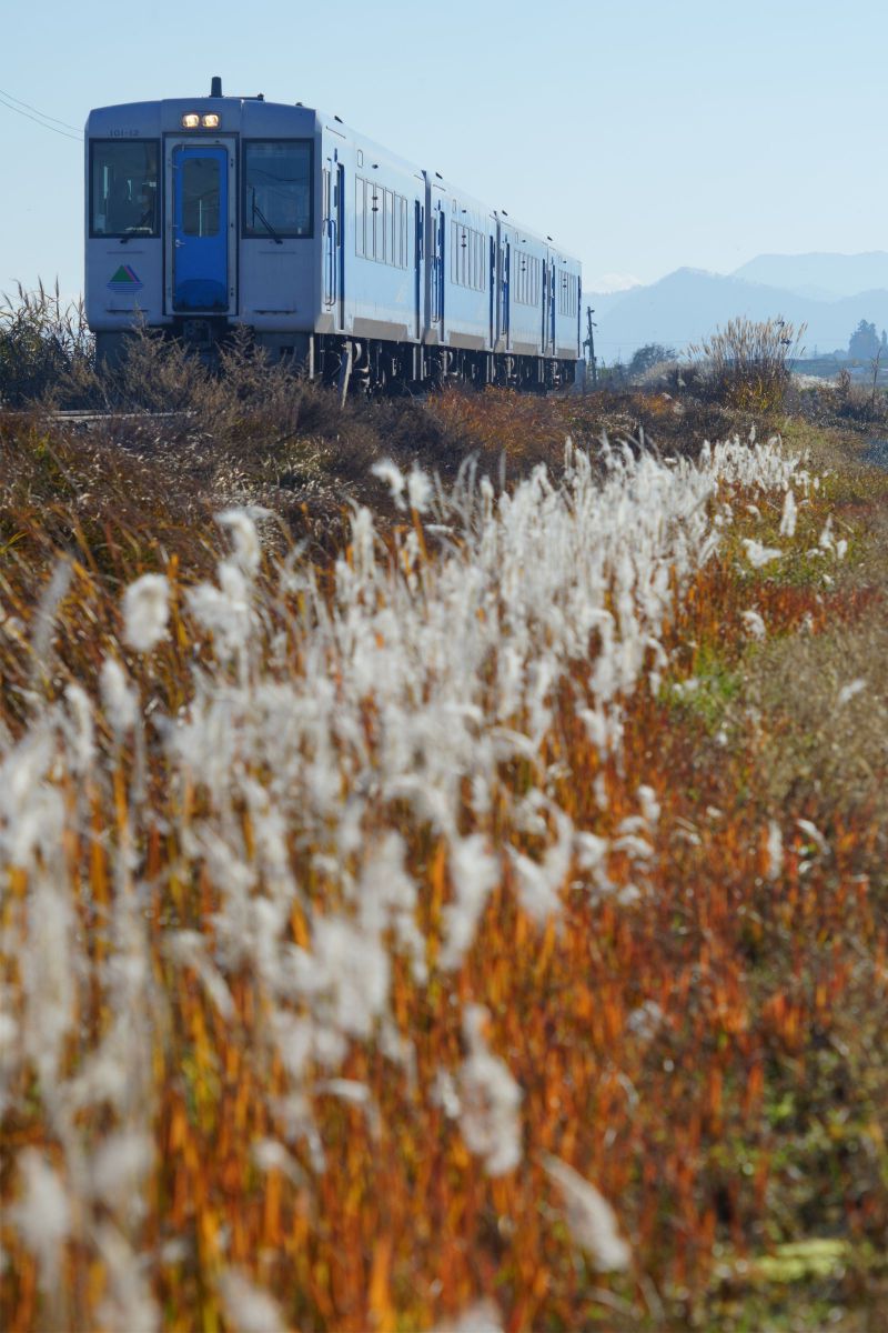 晩秋の色 | GANREF