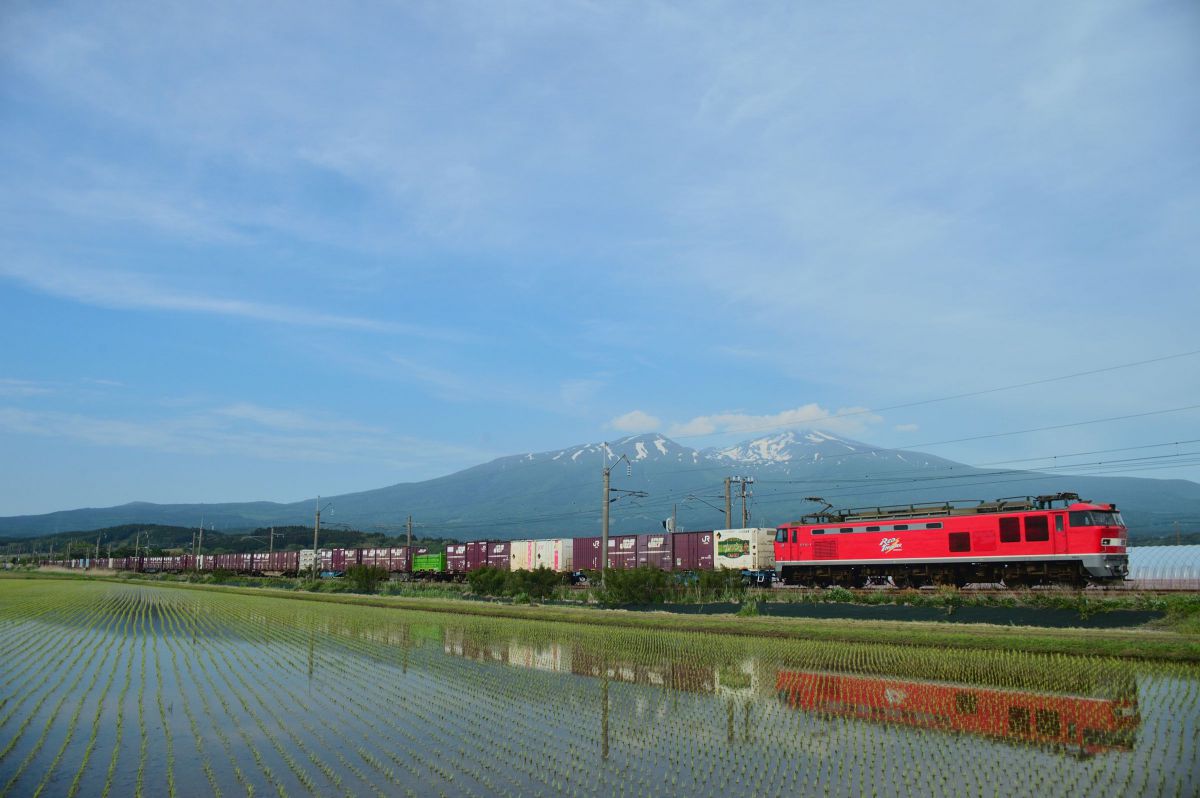 RED THUNDER REFLECTION | GANREF