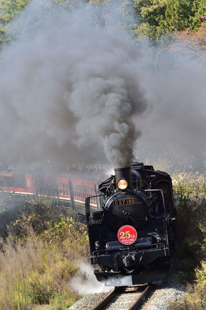 久しぶりの愛煙家 | GANREF