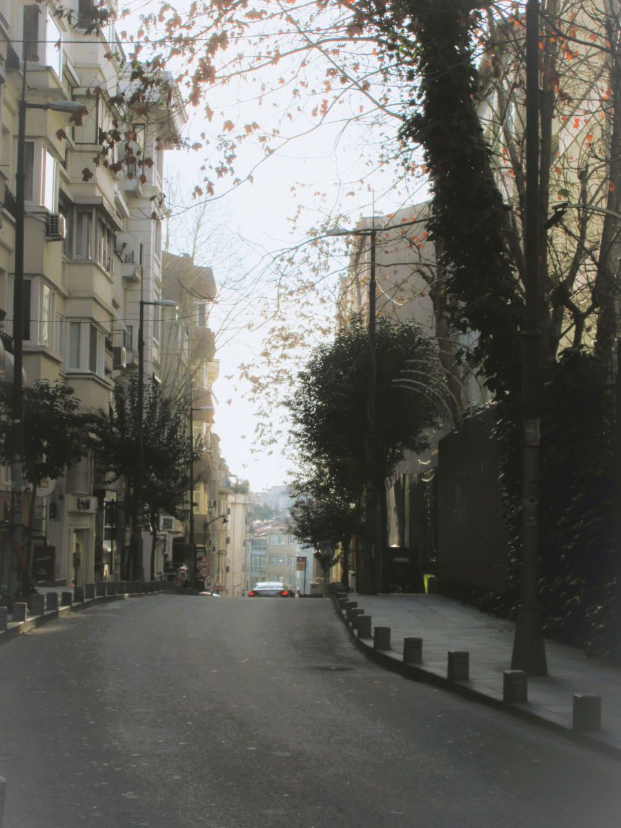 霙。.。o | GANREF