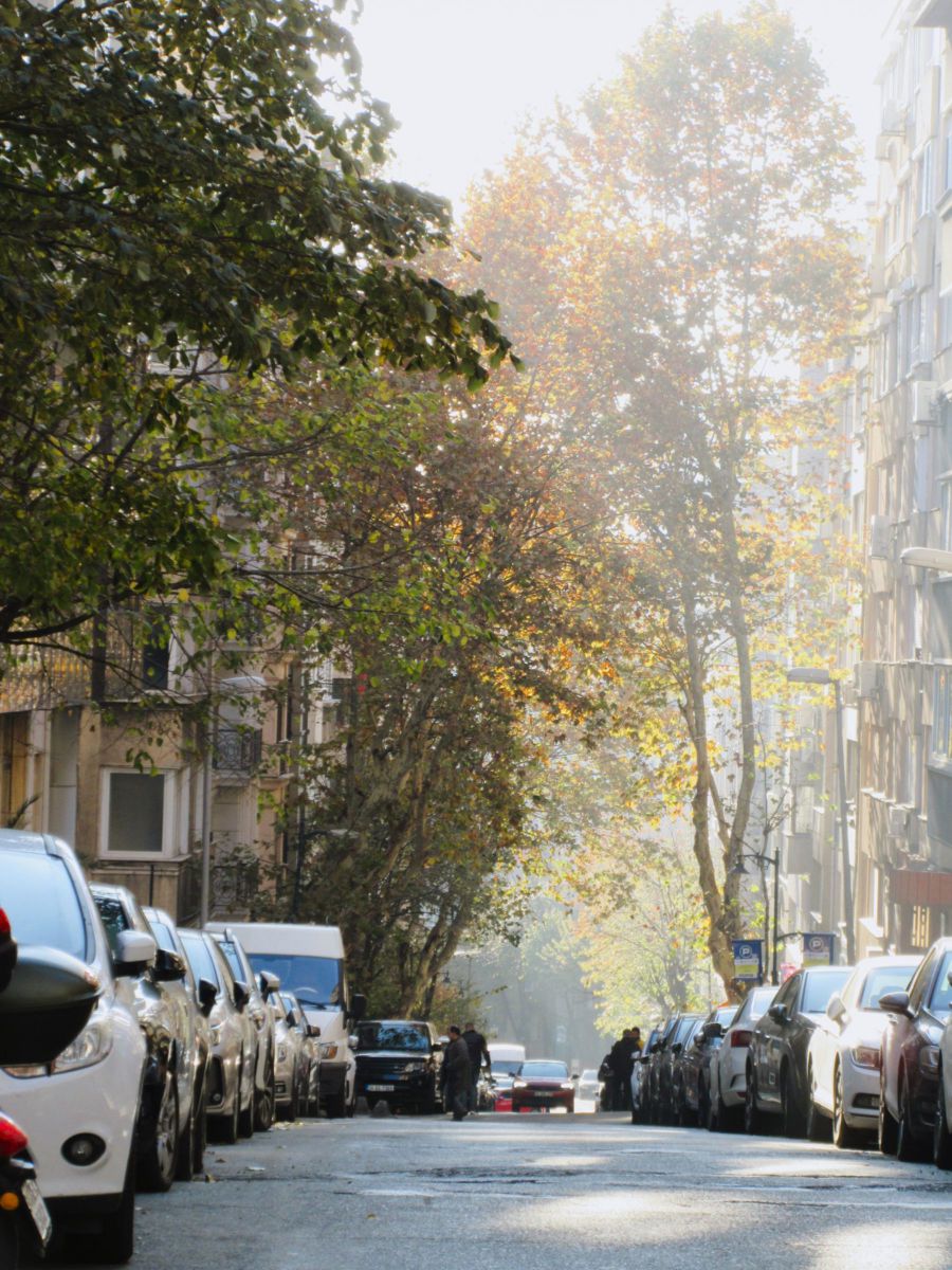 晩秋の朝 | GANREF