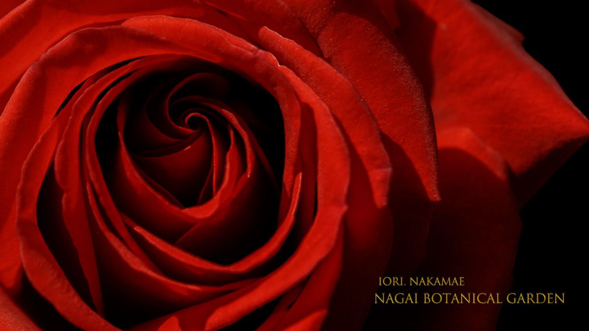 NAGAI BOTANICAL GARDEN | GANREF