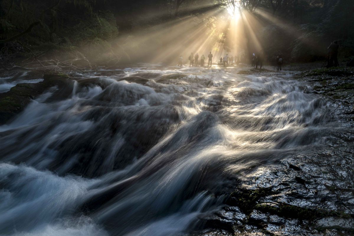 Golden light | GANREF