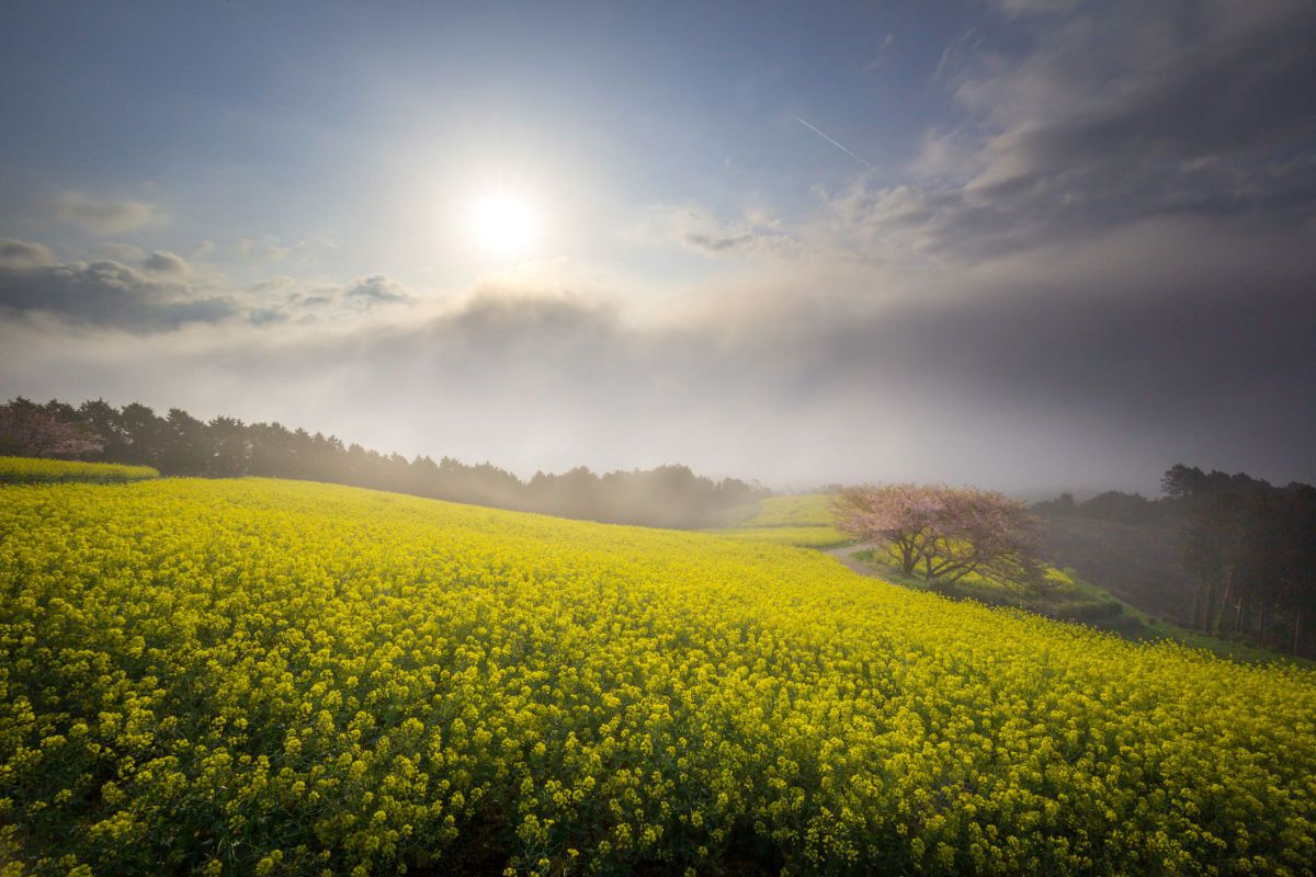 Dramatic sight | GANREF