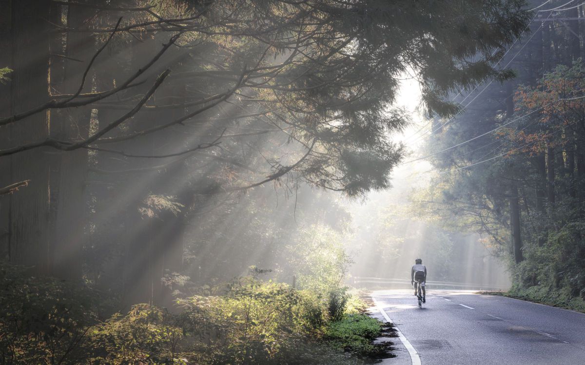 Road of light | GANREF