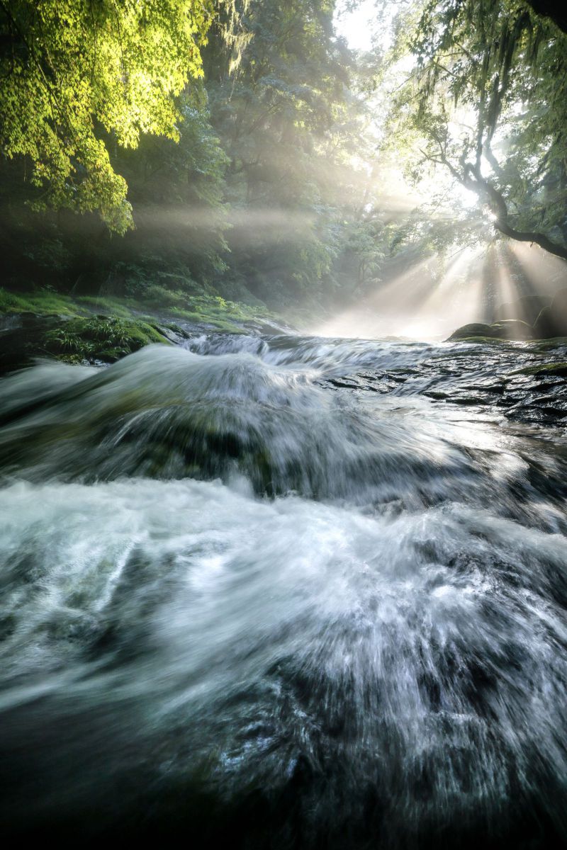 Light and flow | GANREF