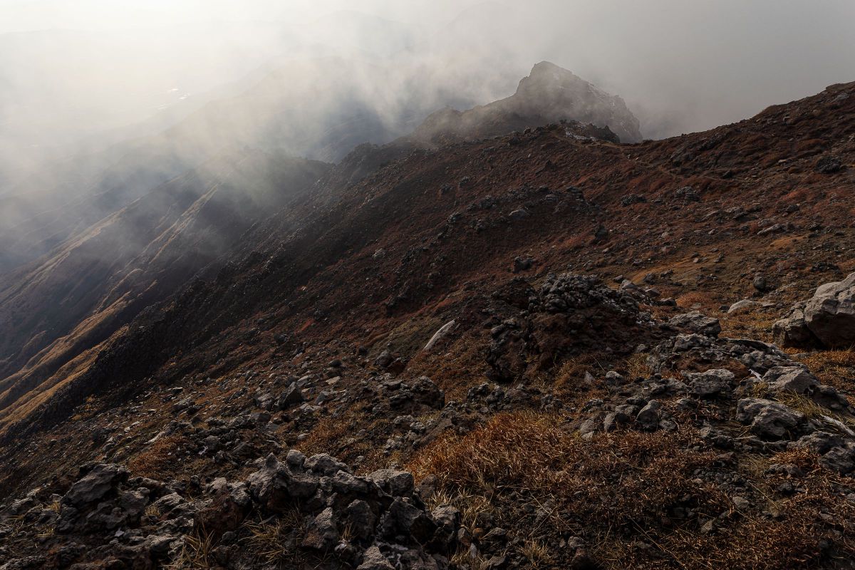 Another world | GANREF