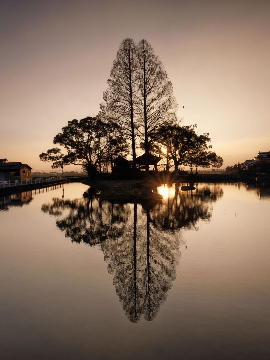 Gold experience | GANREF