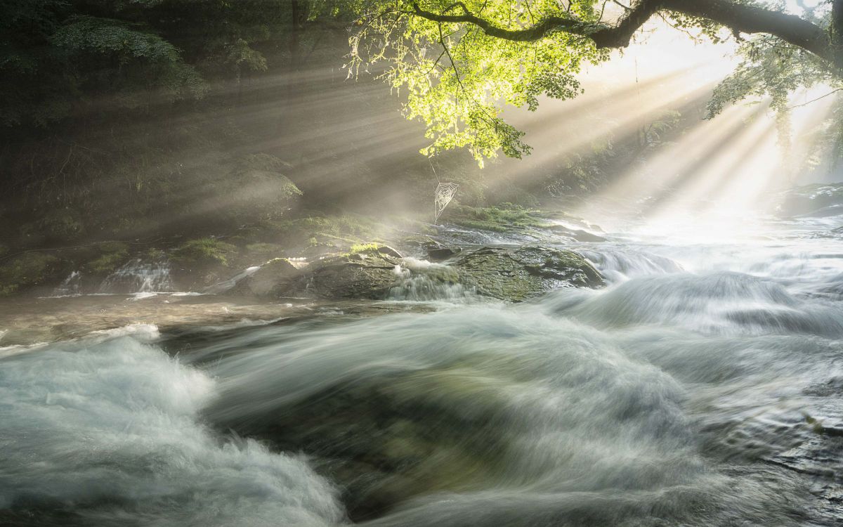 Light and spider web | GANREF