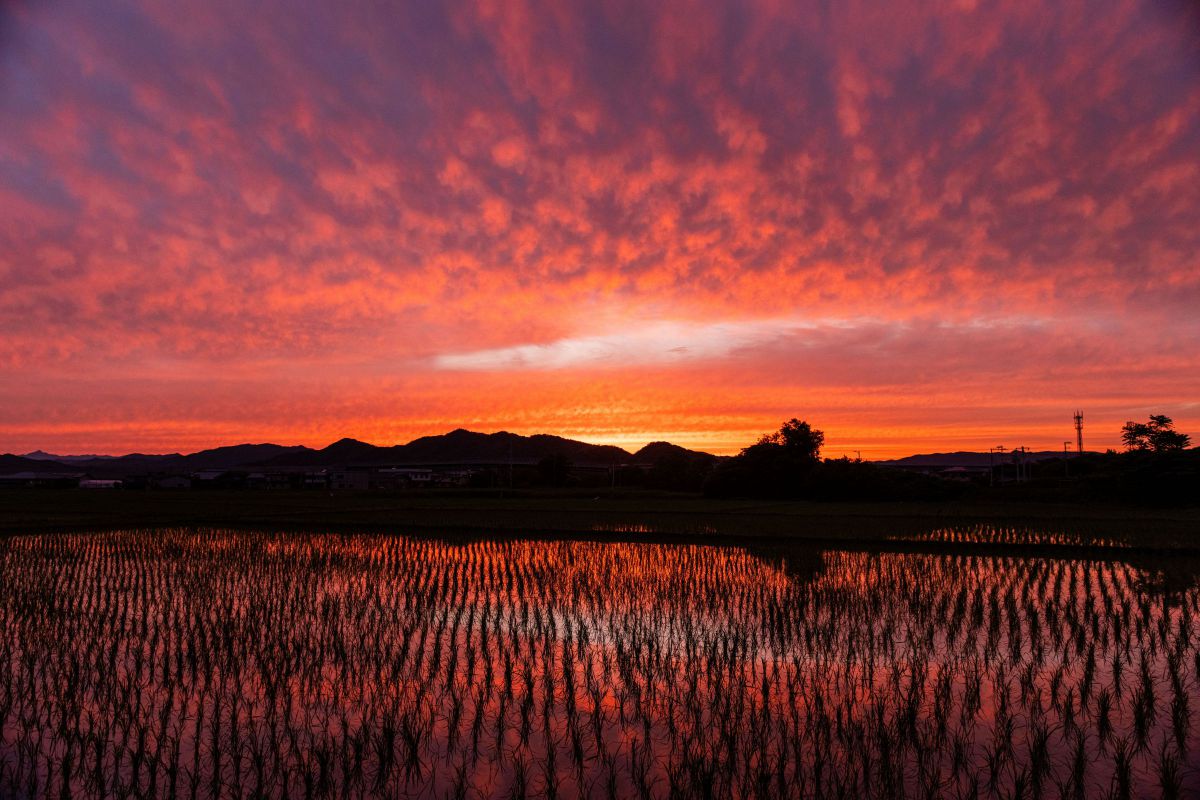 空を焦がす | GANREF