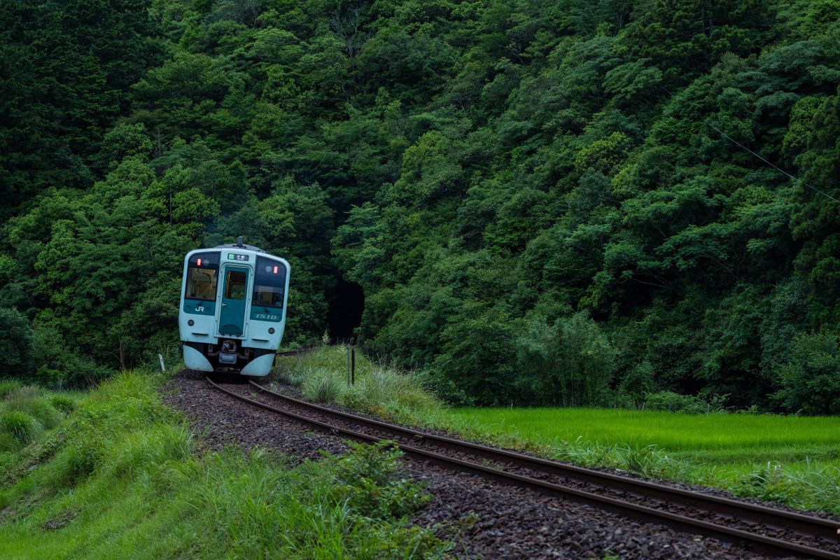 緑濃いﾄﾝﾈﾙへ | GANREF