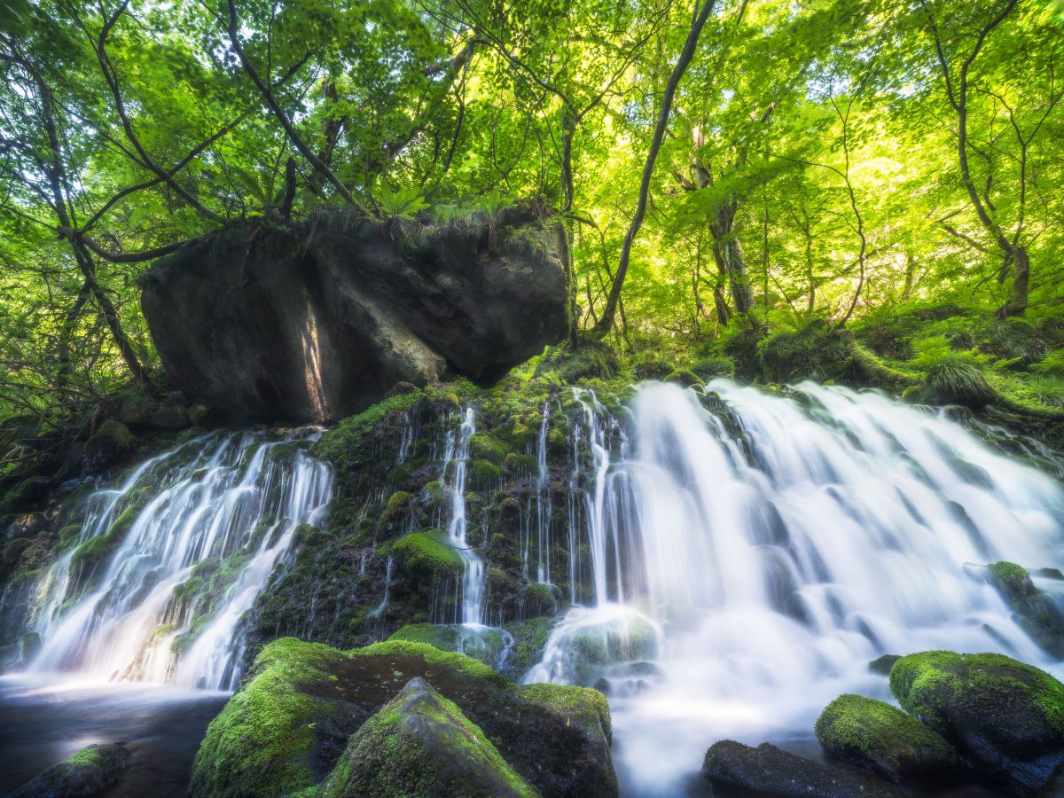 DIVE IN 元瀧伏流水 | GANREF