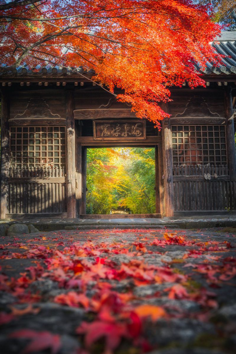 beautiful gate | GANREF